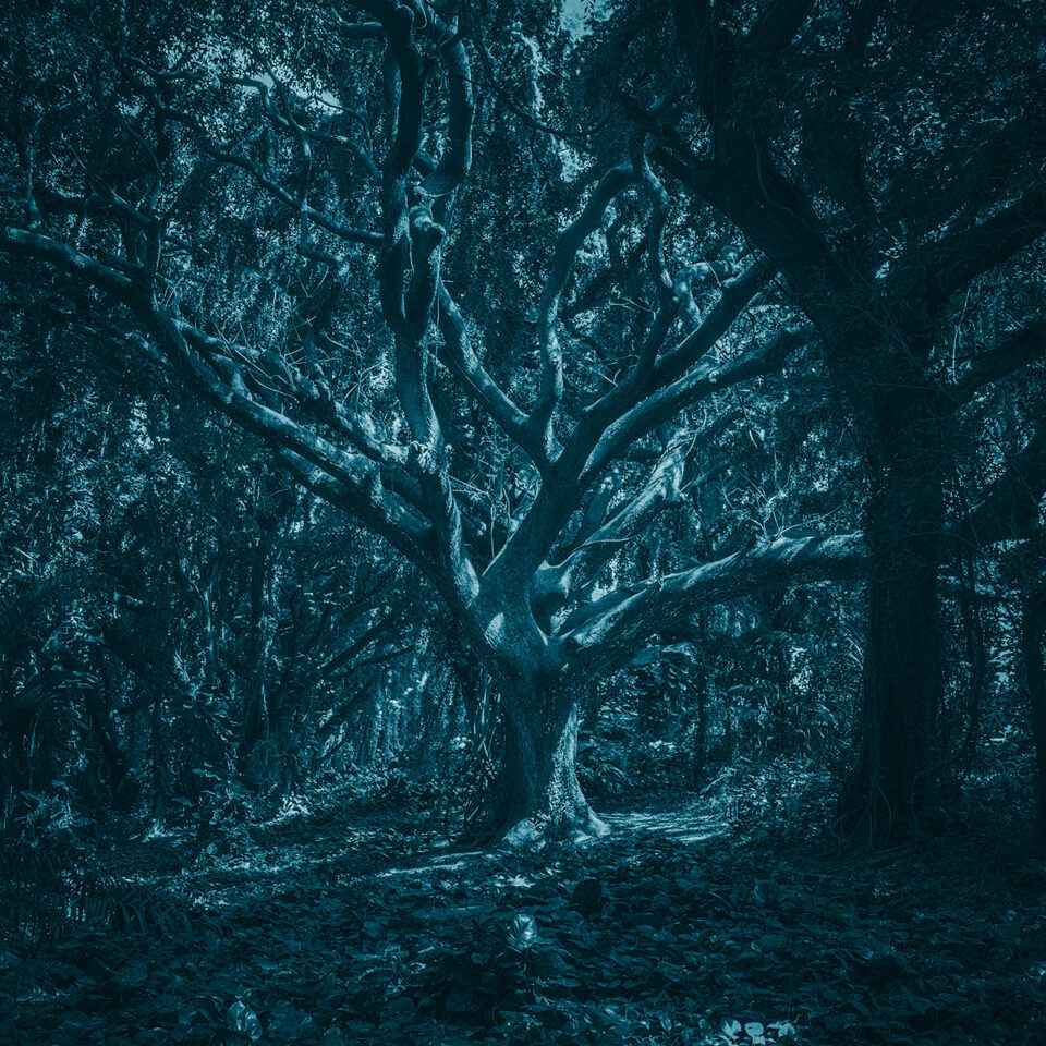 一般社団法人 地球社会レジリエンスセンター – 一般社団法人地球社会レジリエンスセンターの公式ウェブサイト。